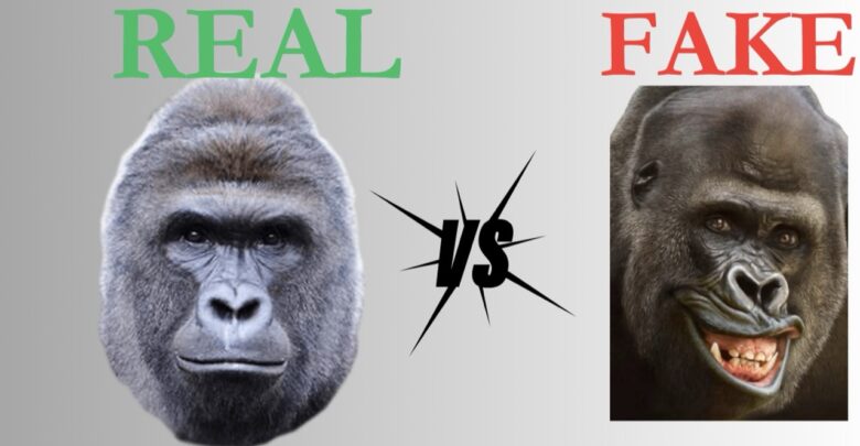 Top Harambe Tokens: Which Harambe Is The Real Harambe? – NFT Trendings